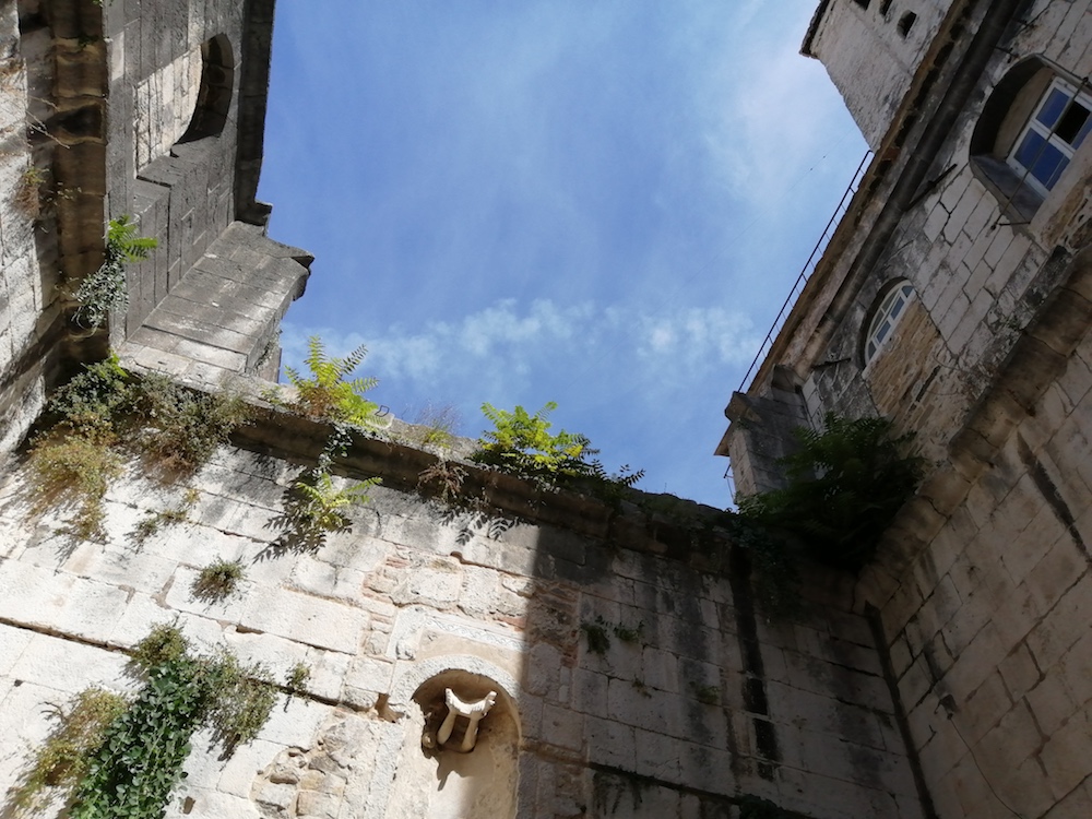 FOTOGALERIJA Agresivni divlji orasi na Dioklecijanovoj palači su ...