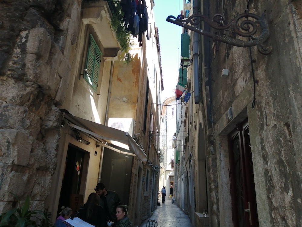 Divlji orah ponovno osvaja zidine Dioklecijanove palače | Dalmatinski ...