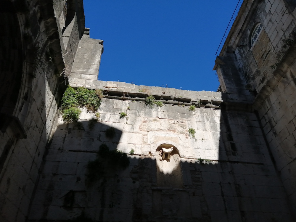 Divlji orah ponovno osvaja zidine Dioklecijanove palače | Dalmatinski ...