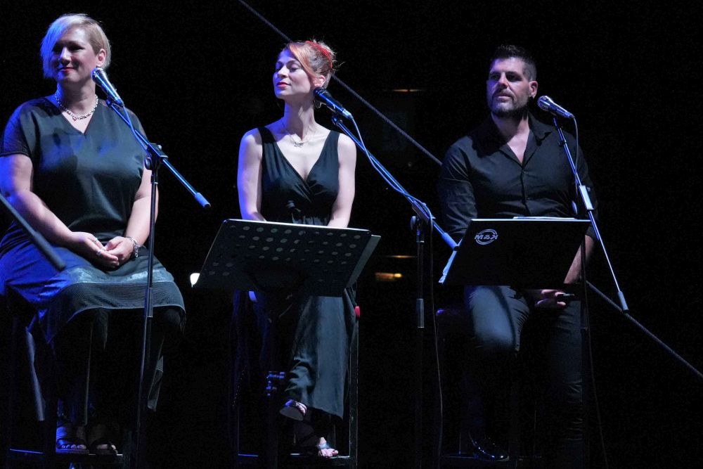 FOTOGALERIJA Radojka Šverko oduševila koncertom prepunu solinsku Gradinu | Dalmatinski portal