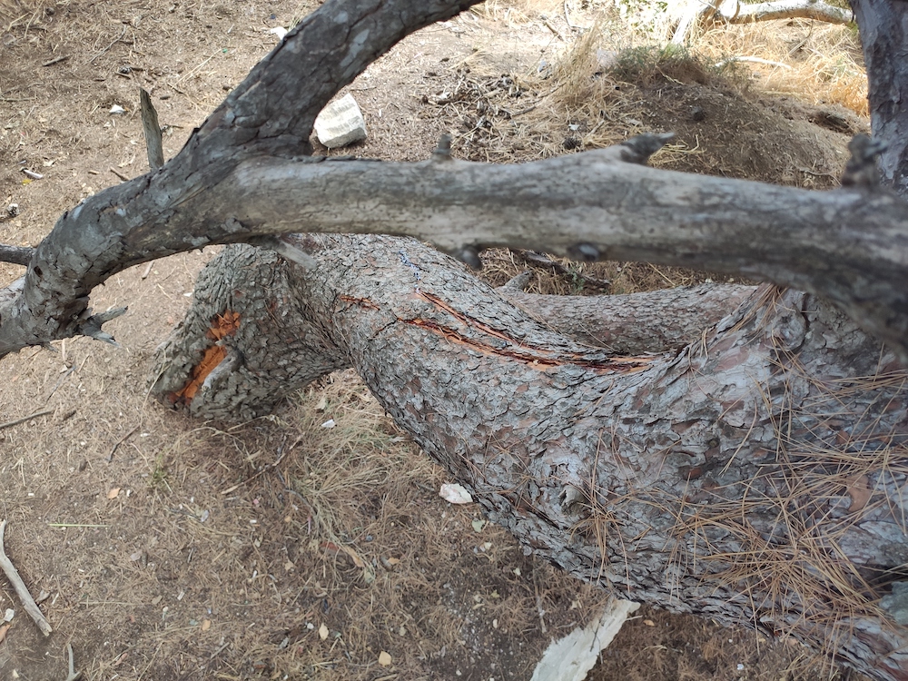 UDAR GROMA NA KAŠJUNIMA Razgovarali smo s čovjekom koji je među prvima ...