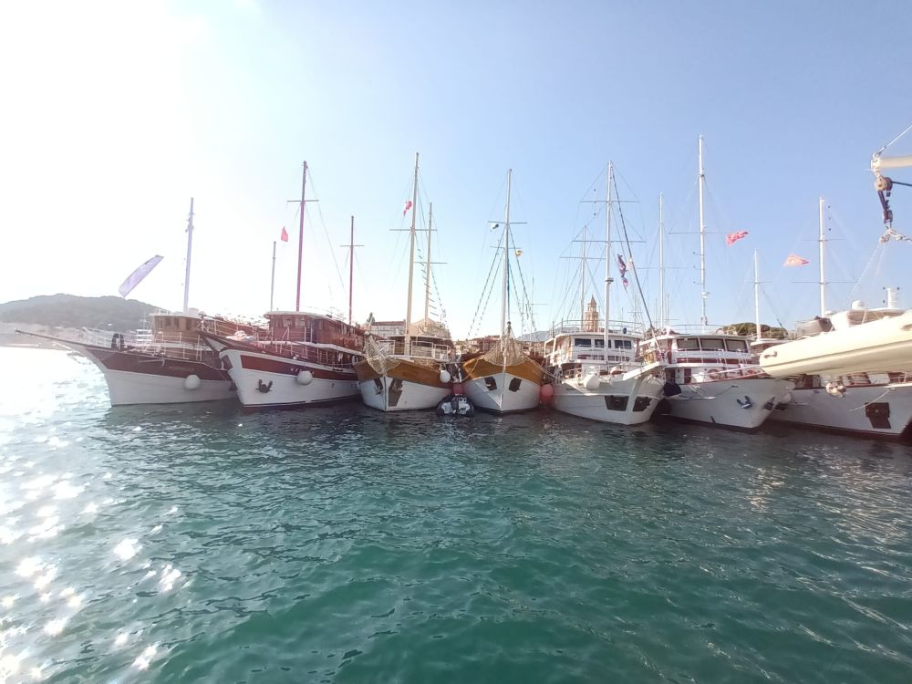 FOTO/VIDEO Splitska luka kao košnica | Dalmatinski portal