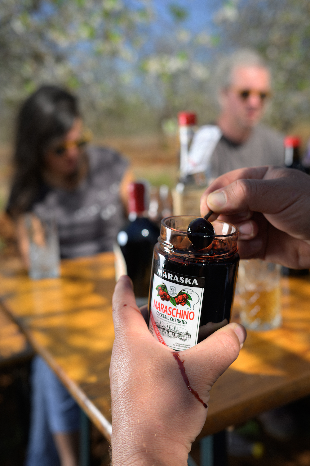 FOTO/VIDEO Kreće obnova Maraskinog višnjika, pogledajte slike cvata ...