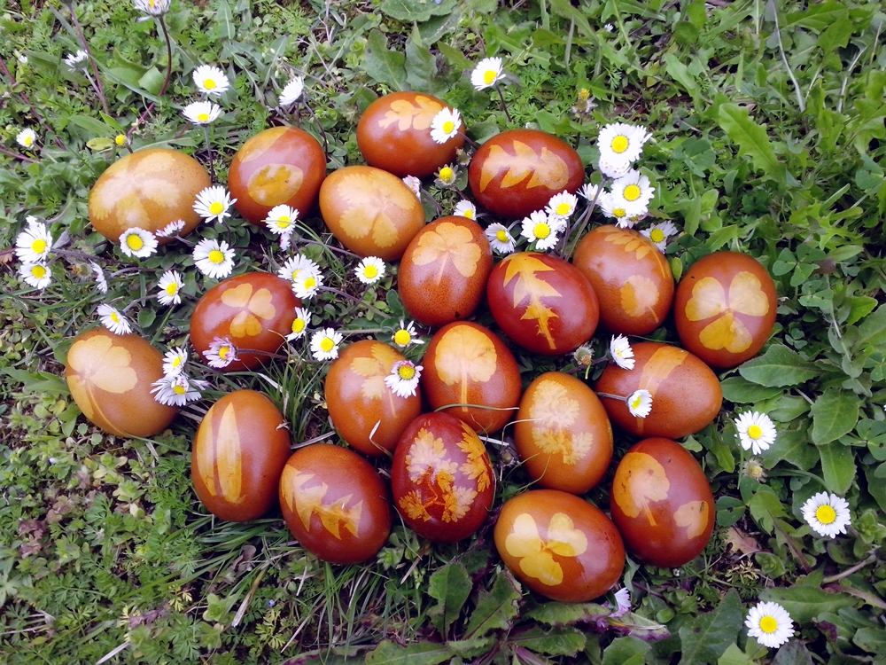 STARINSKI OBIČAJI Pisanice obojane u crvenom luku | Dalmatinski portal