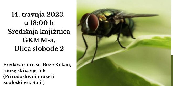 PREDAVANJE U GKMM: Metoda liječenja kroničnih rana ličinkama muha ...